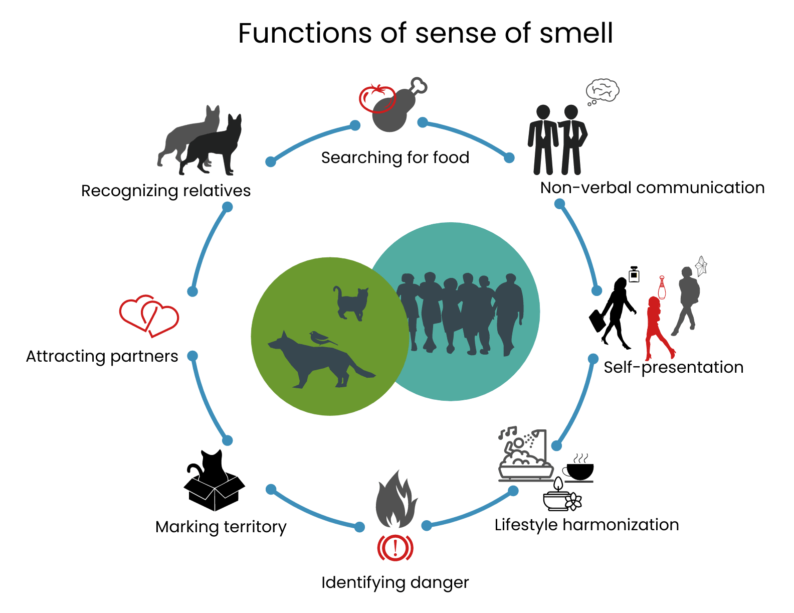 Sense of smell and scents